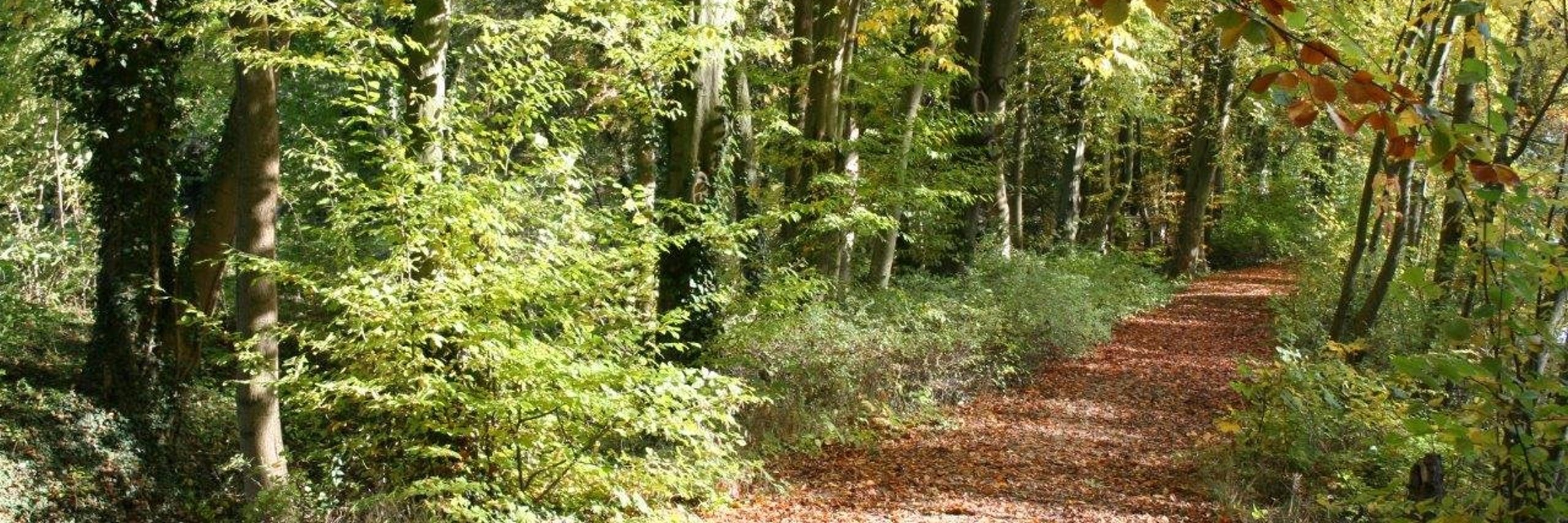 Sehenswürdigkeiten | Stadt Moringen